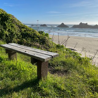 Seal Rocks RV Cove - Seal Rock, Oregon - RV LIFE Campground Reviews
